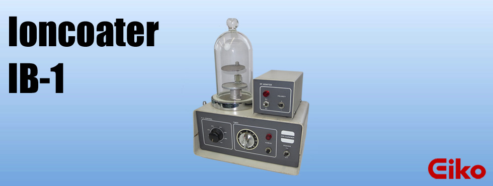 IB-1 | eiko english site