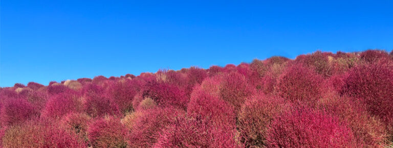 top | eiko english site